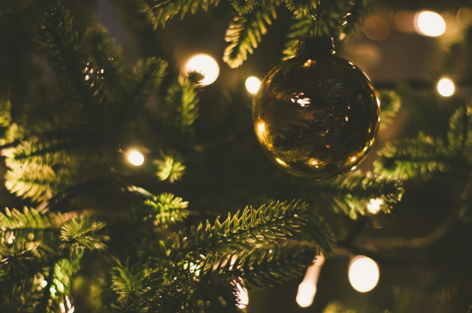 Carte & Menus – L'Alhambra